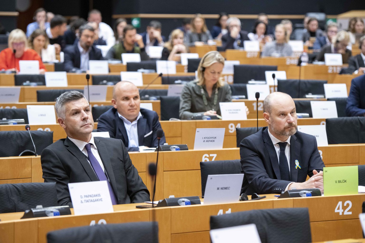 When will the new EP Rapporteurs for the Western Balkans Six be ...